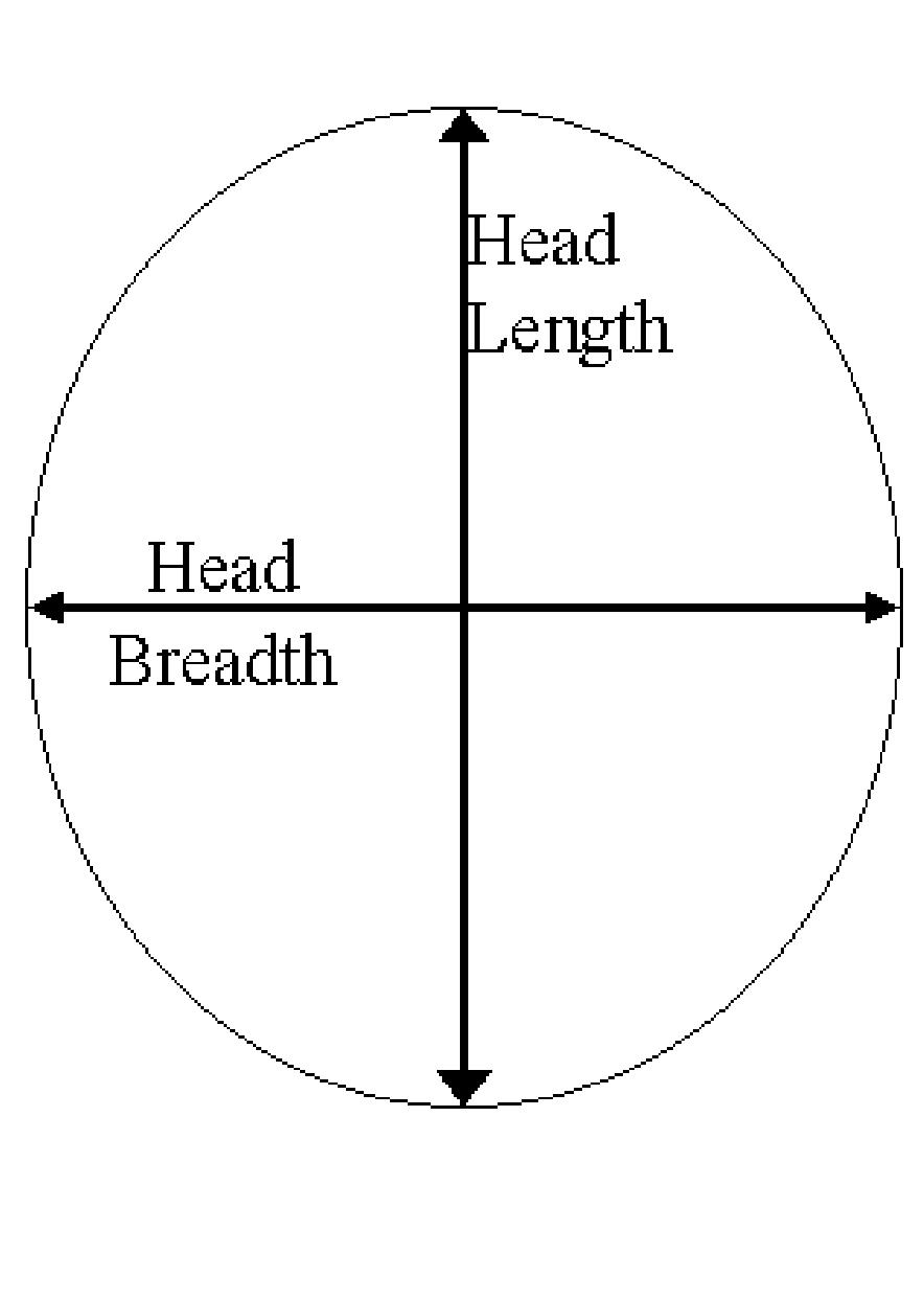 Figure 3 - Definition of Anthropometry Measurements for