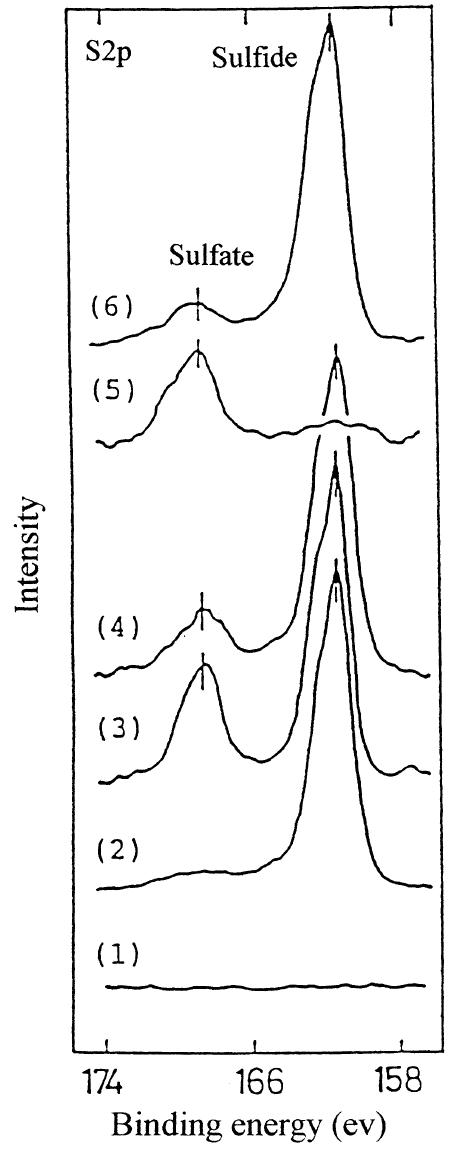 Xps spectra of s2p for the fresh and spent catalysts: (1)
