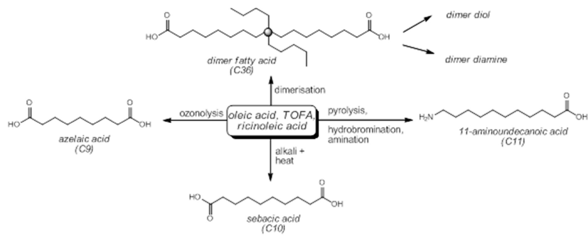 Examples of commercial fatty acid derived monomers. tofa
