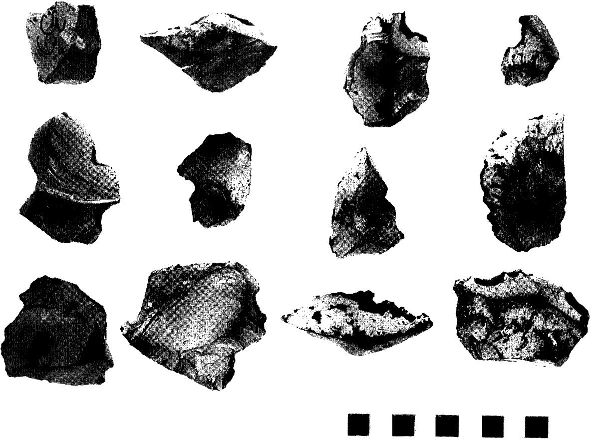 Photograph of artifacts depicted in figure 7. in these