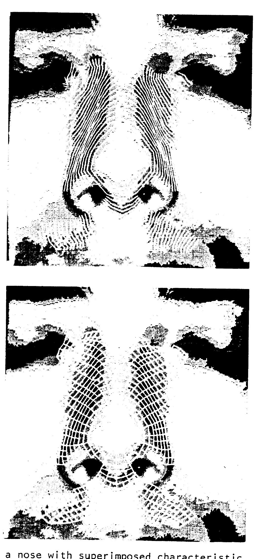 Figure 2 - Shape from shading: A method for obtaining the