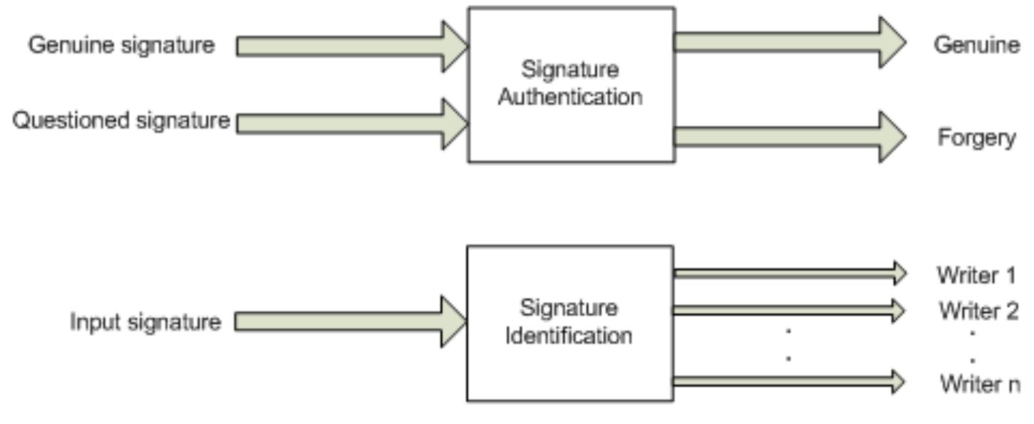 Comparison of authentication and identification models
