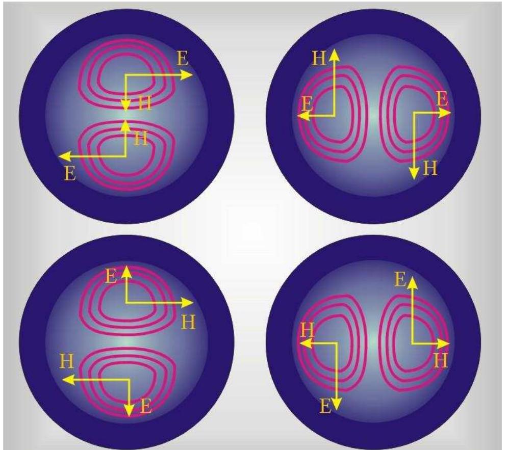24 intensity and orientation field distribution in