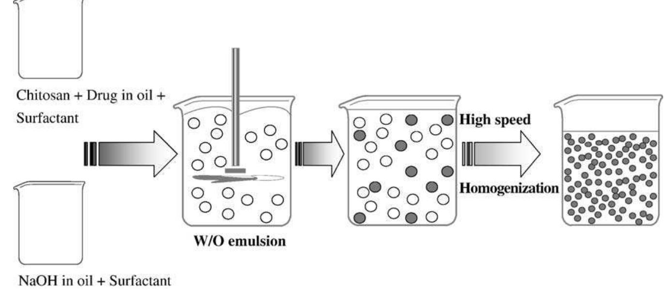 Schematic representation of chitosan nanoparticles