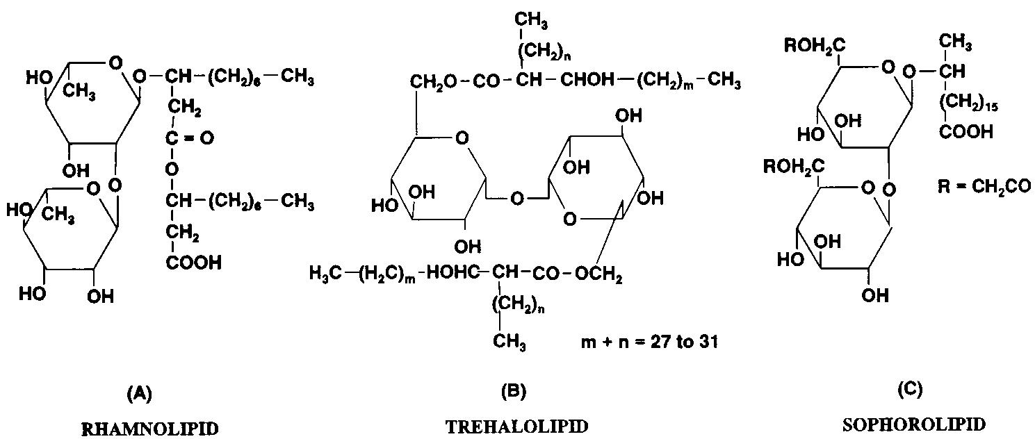 Structure of some common glycolipid biosurfactants. (a)