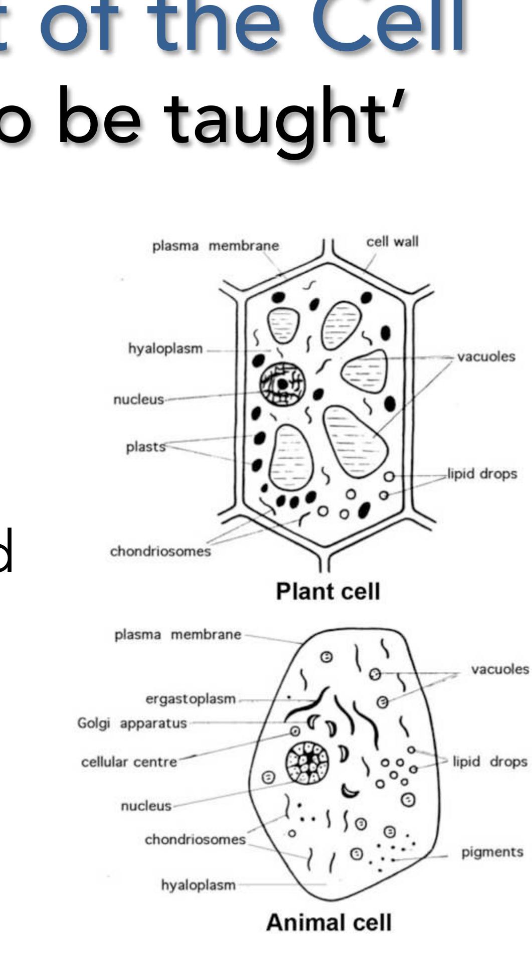 Figure 20 - Didactic Transposition: From theoretical notion