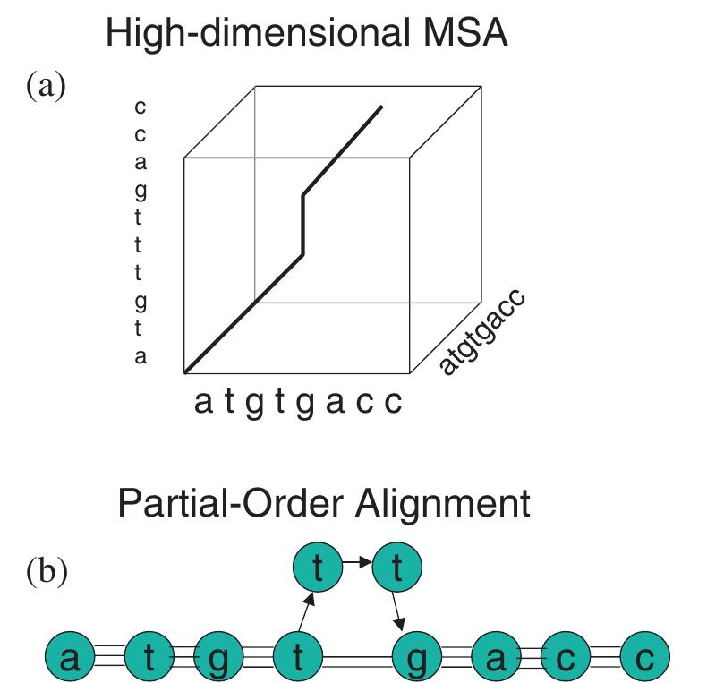 Poa maps the high-dimensional msa path to a reduced graph