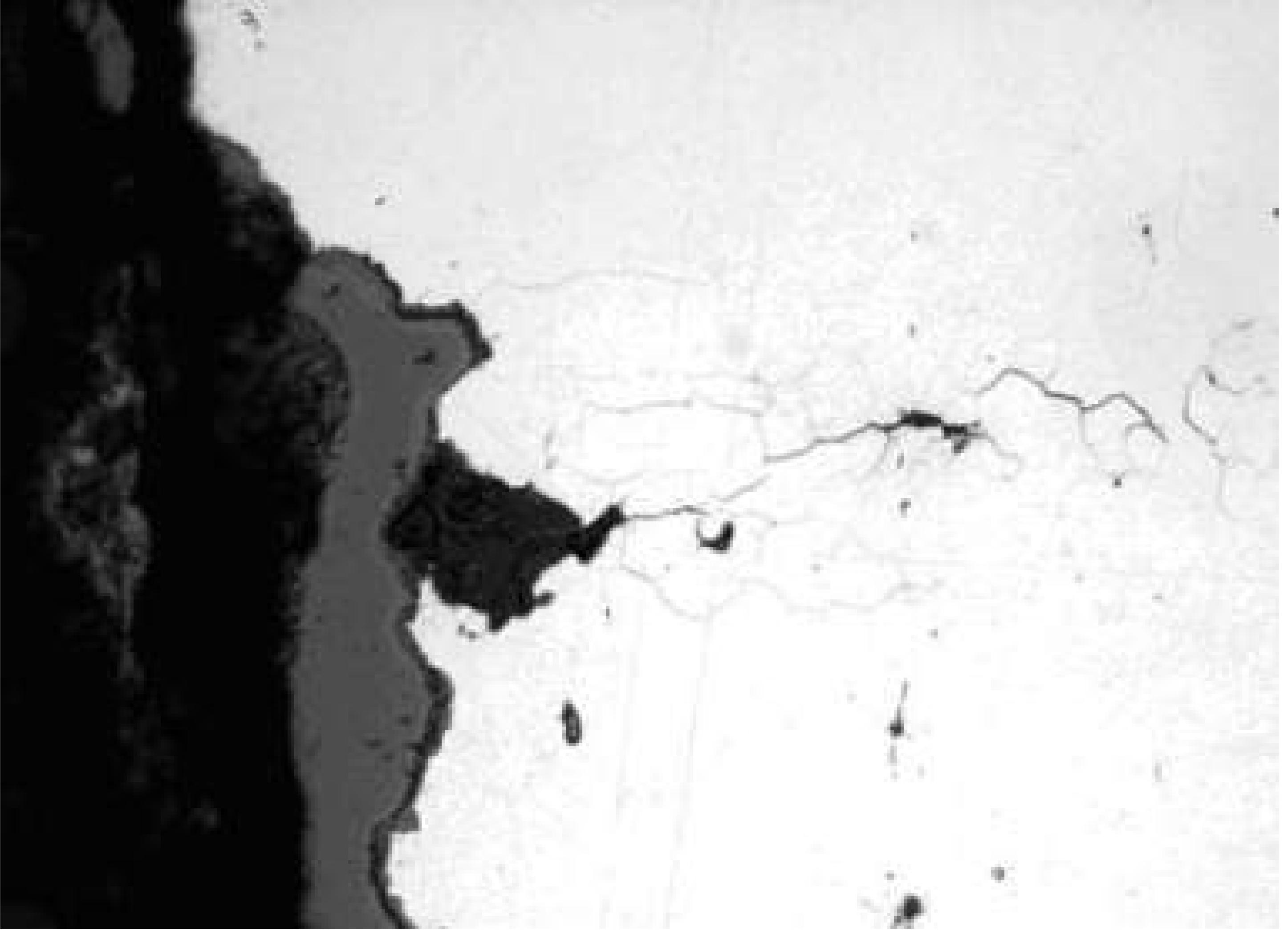-51 — photomicrograph of a cross-section of carbonate