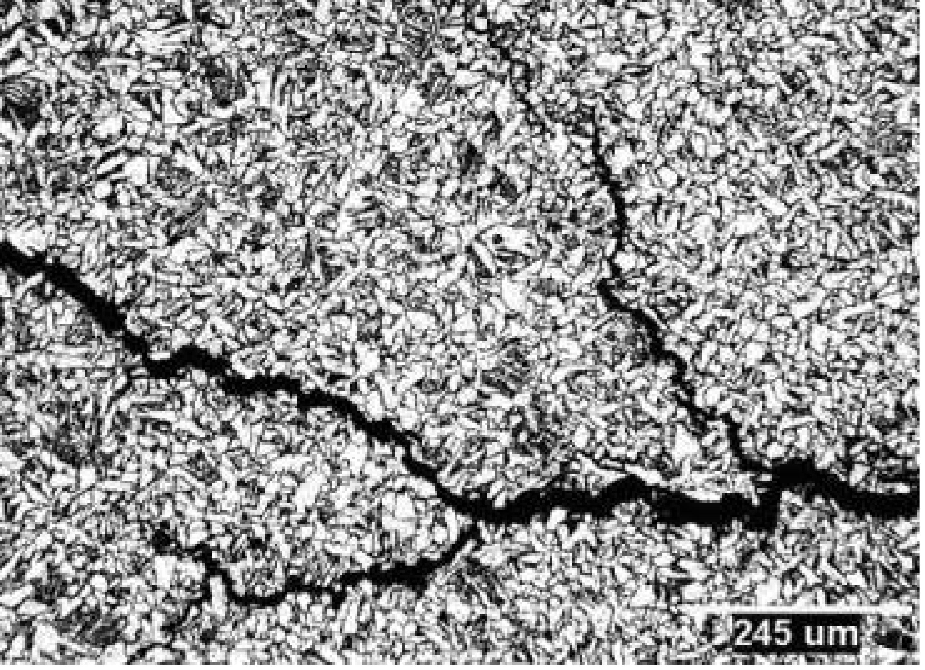 -52 — photomicrograph of a cross-section of carbonate