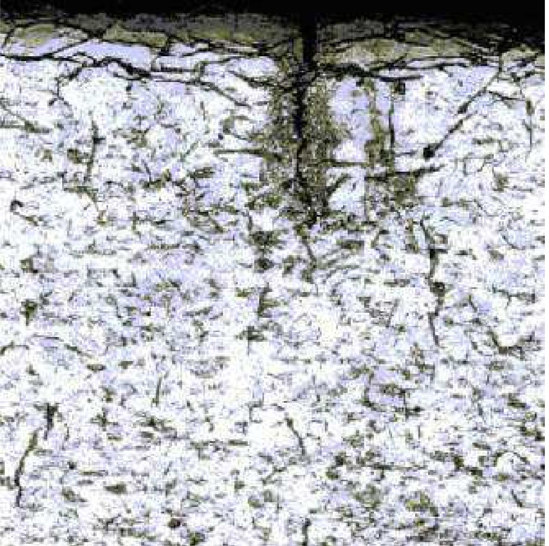 -63 — high magnification photomicrograph of a cross-section