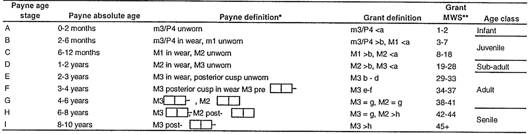 Key to sheep and goat wear stages * the mature wear-state is