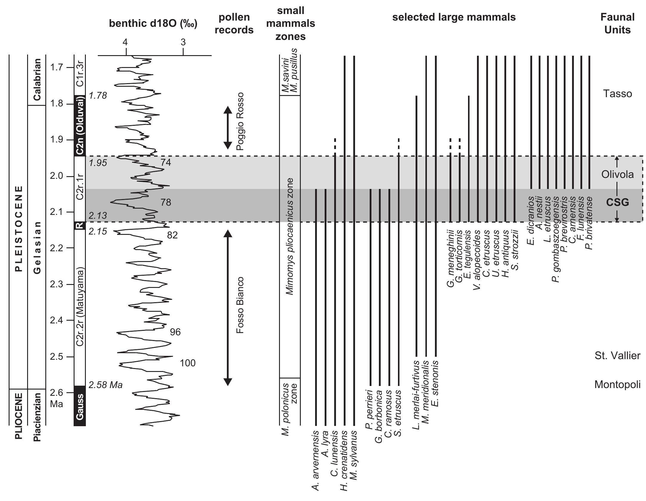 Csg biochronological framework.