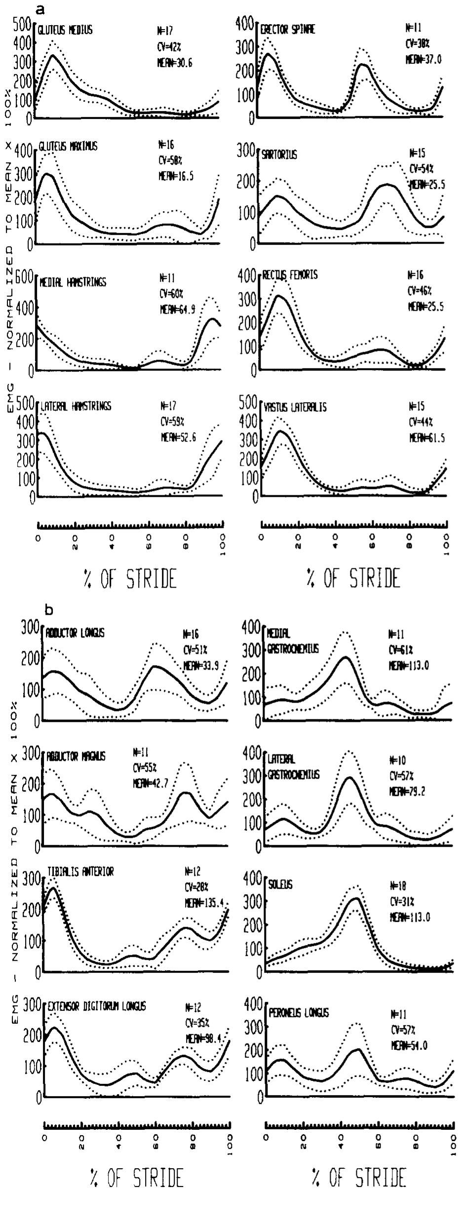 Figure 4 - EMG profiles during normal human walking: