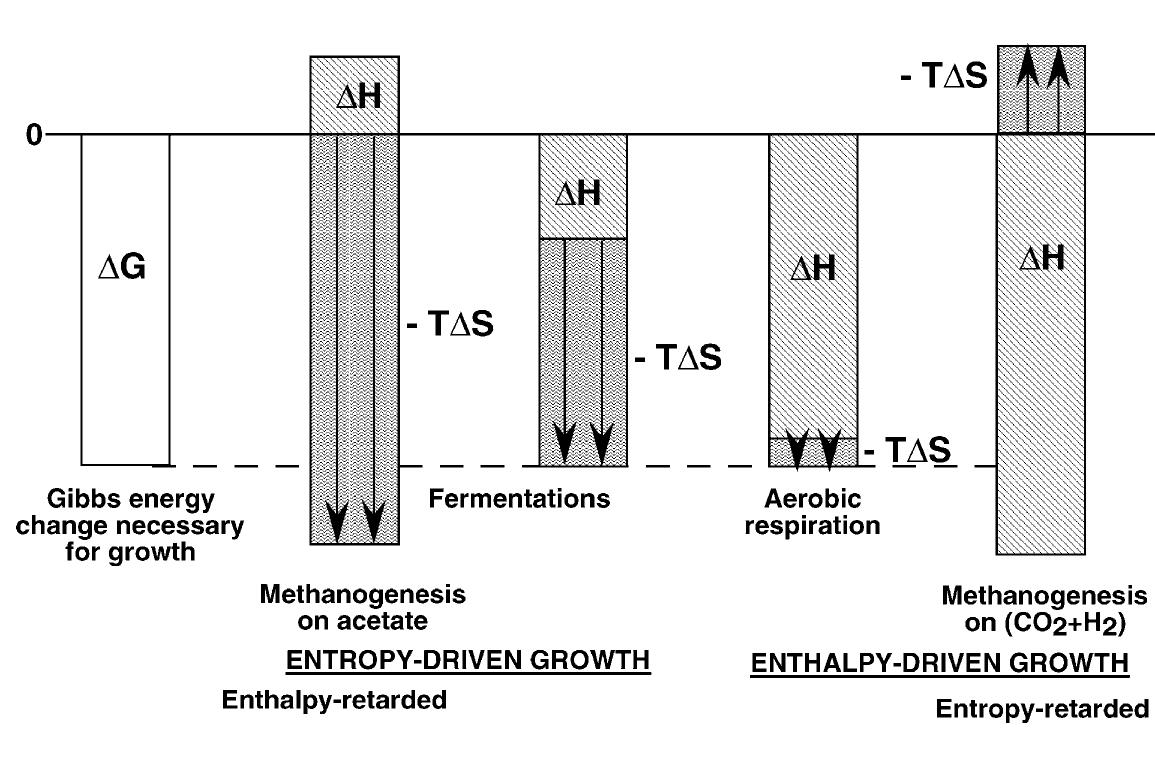 Schematic representation of enthalpic and entropic