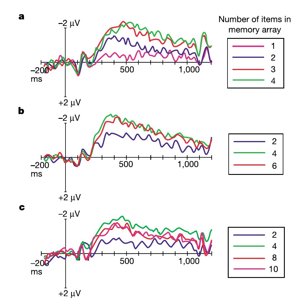 Erp difference waves at lateral occipital and posterior