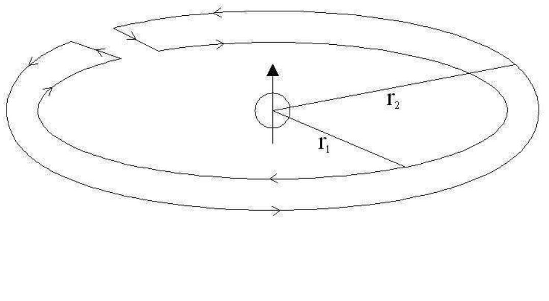 Schematic diagram of the closed equatorial annular loop for