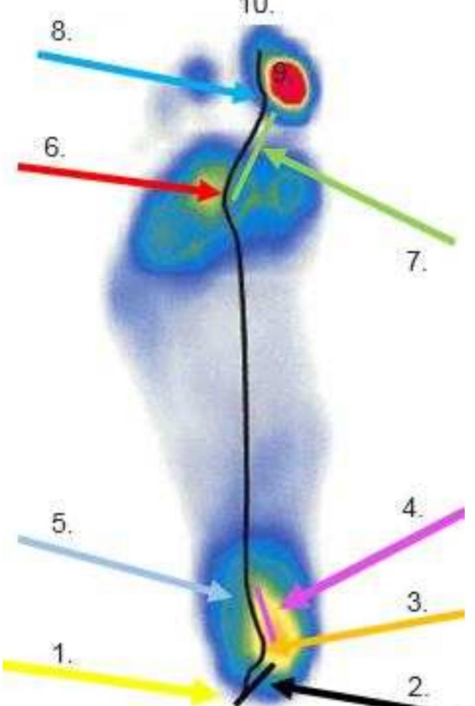Single step cop gait line with marked key events and phases