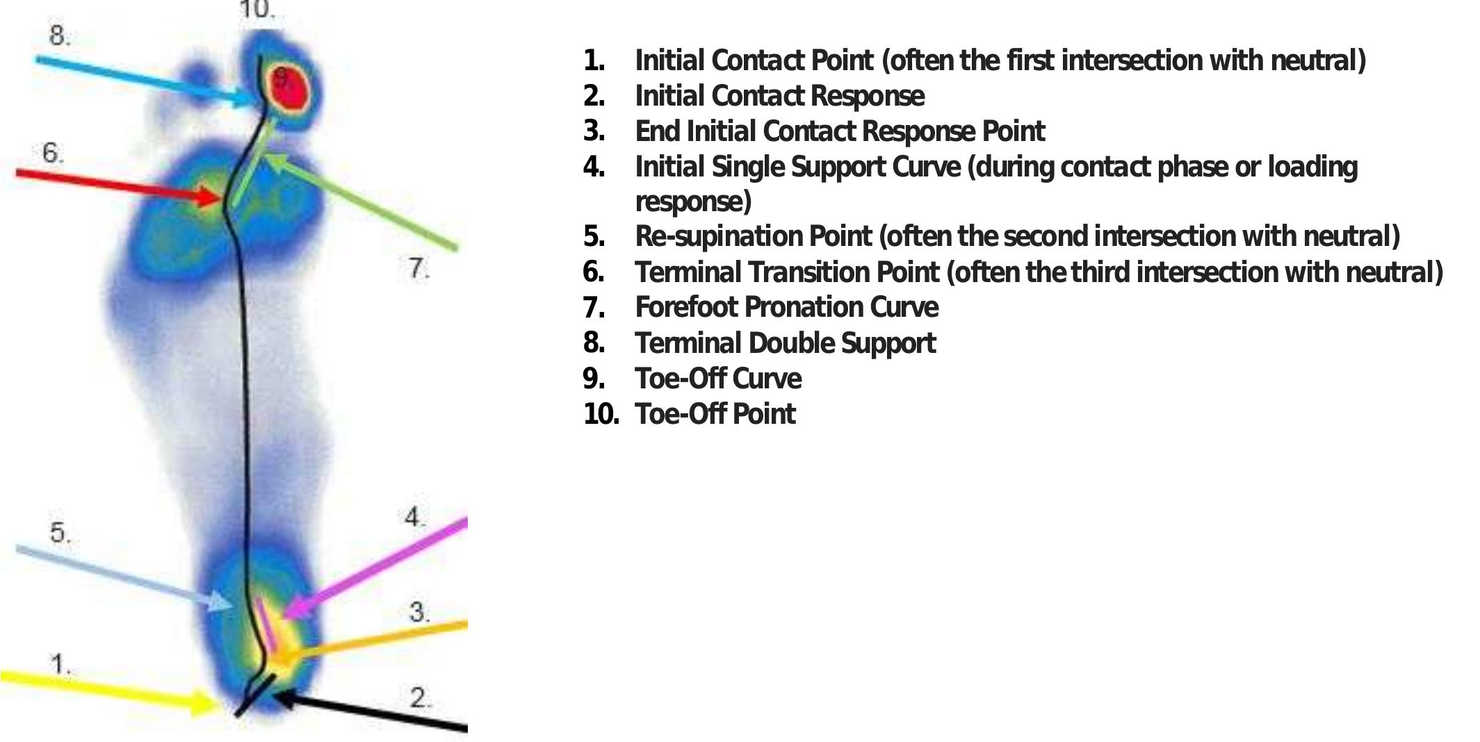 Figure 4 - Anatomy of the Center Of Pressure Gait Line and