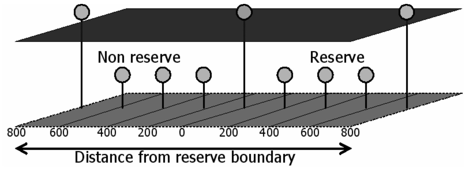 Diagrammatic representation of the zones defined for tagging