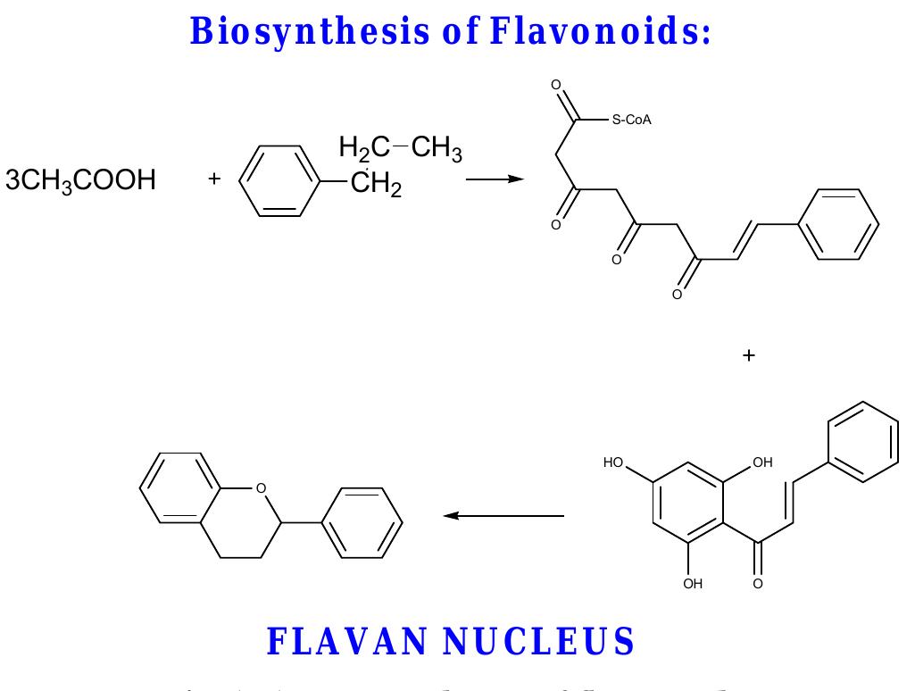 (1): basic structure of flavonoids be!