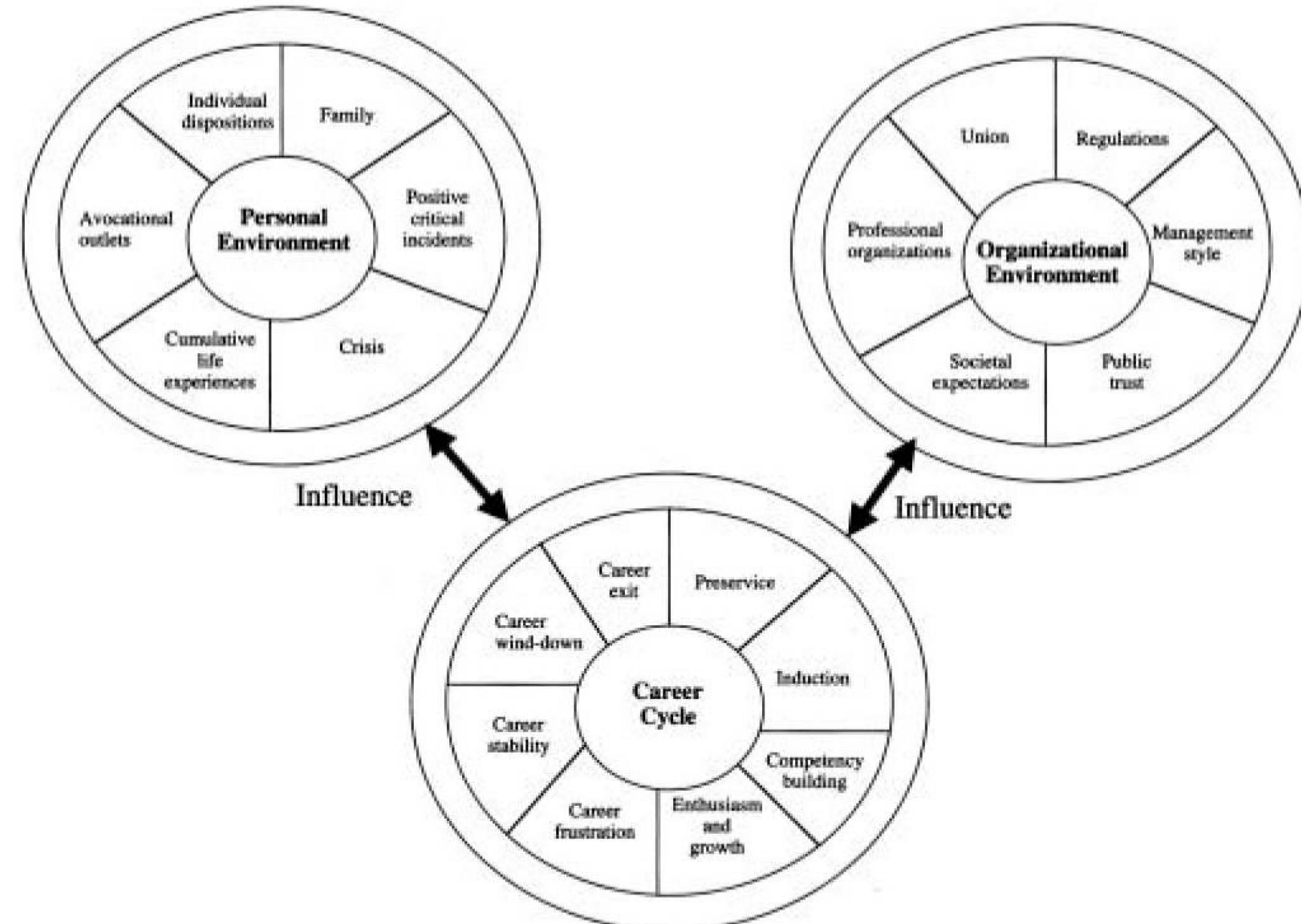Model of the teacher career cycle and environmental