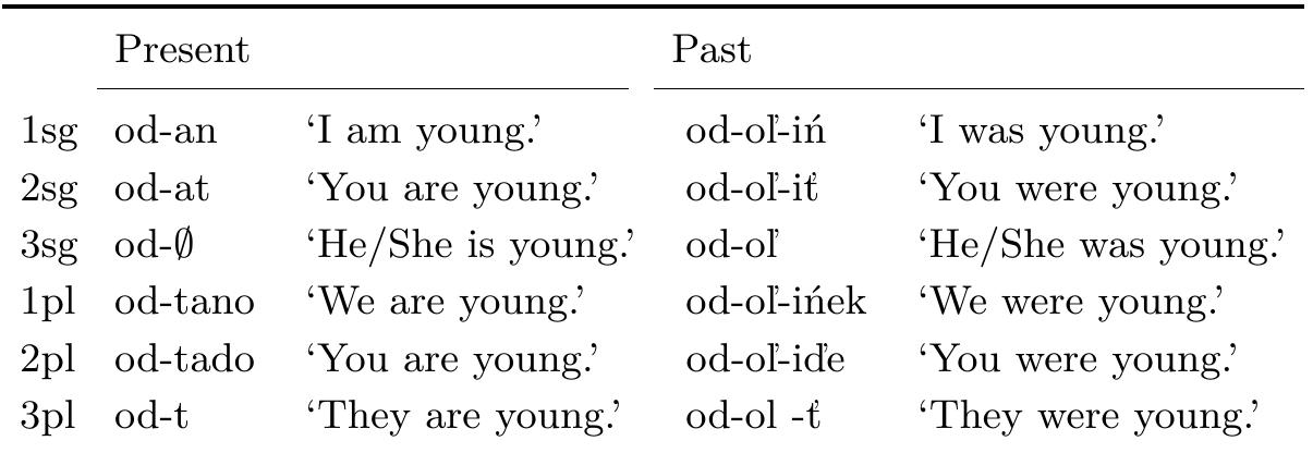 Predicative suffixes of the present and past tenses, mde od