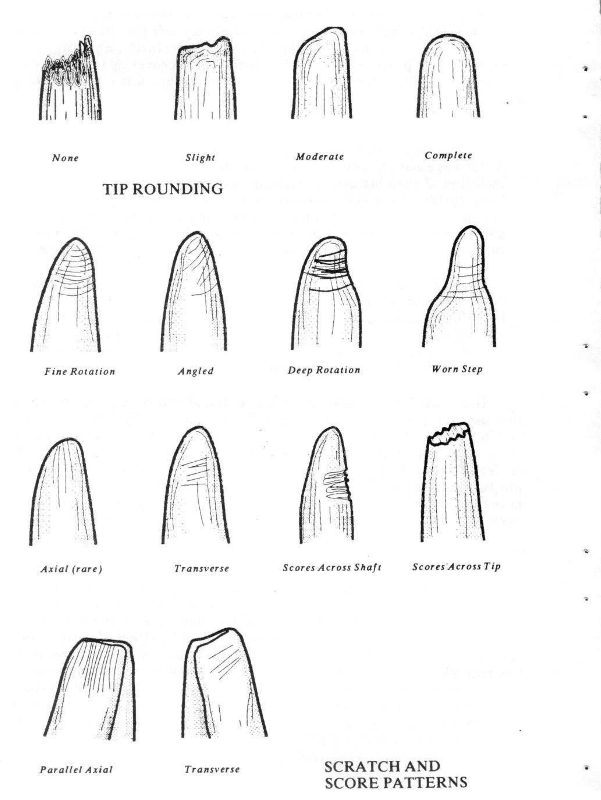 Scratch and score wear patterns