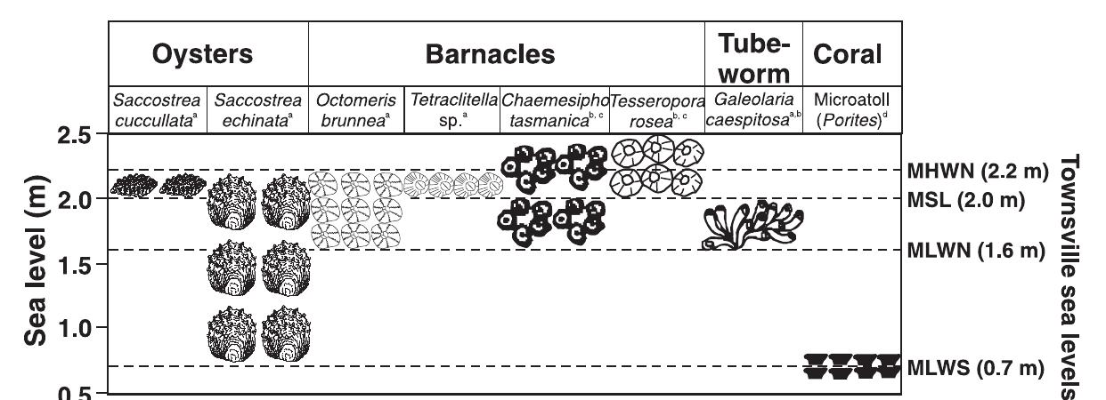 Schematic diagram showing the vertical growth limits for the
