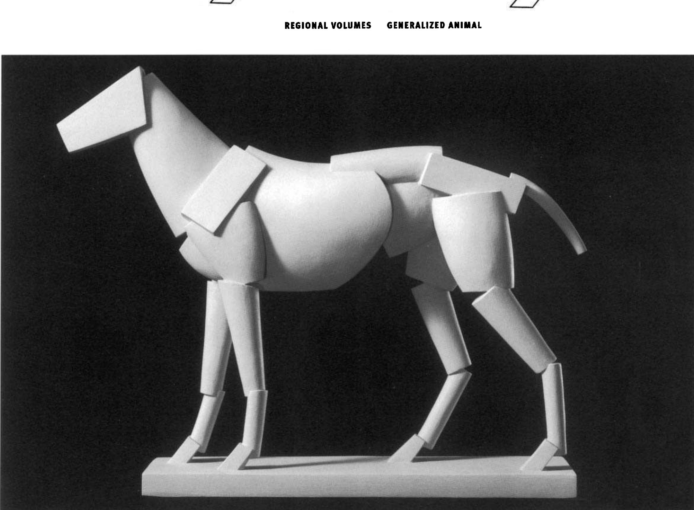 Figure 12 - ANIMAL ANATOMY FOR ARTISTS