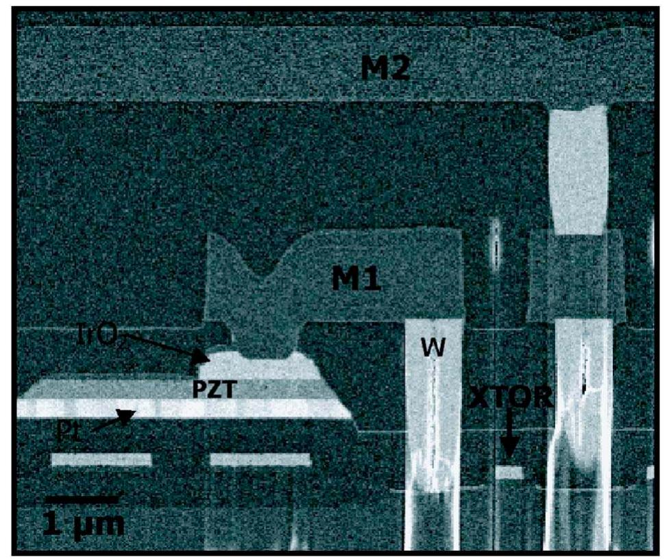 ‘ig 11 Scanning Electron Microscope Cross Section Image Of