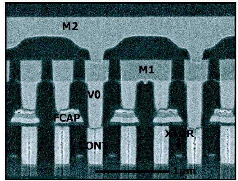 Scanning Electron Microscope Cross Section Image Of Several