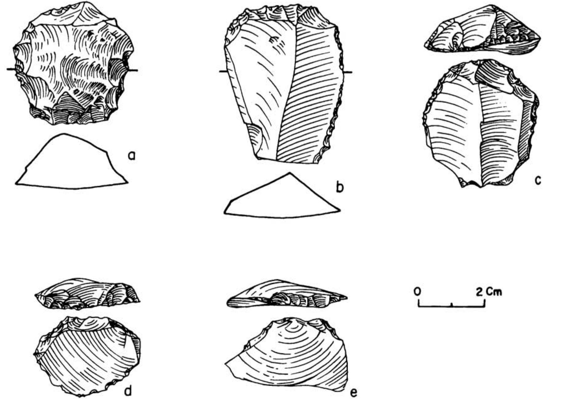 Chipped stone tool types from tepe ali kosh: a-c, flake,