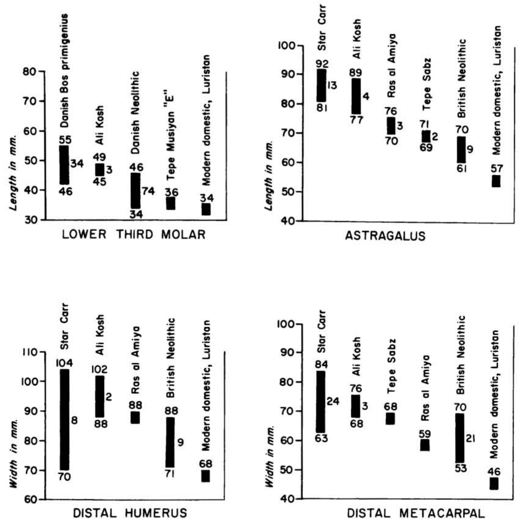 Measurements of wild and domestic cattle bones from the deh