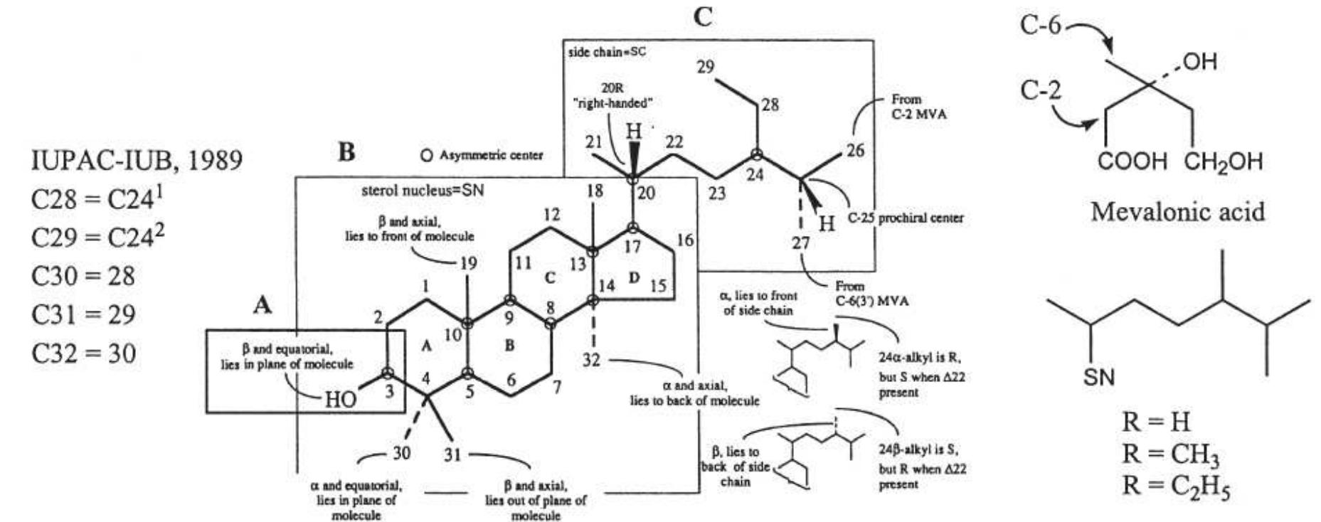 Steroid numbering system a,b and c represent structural