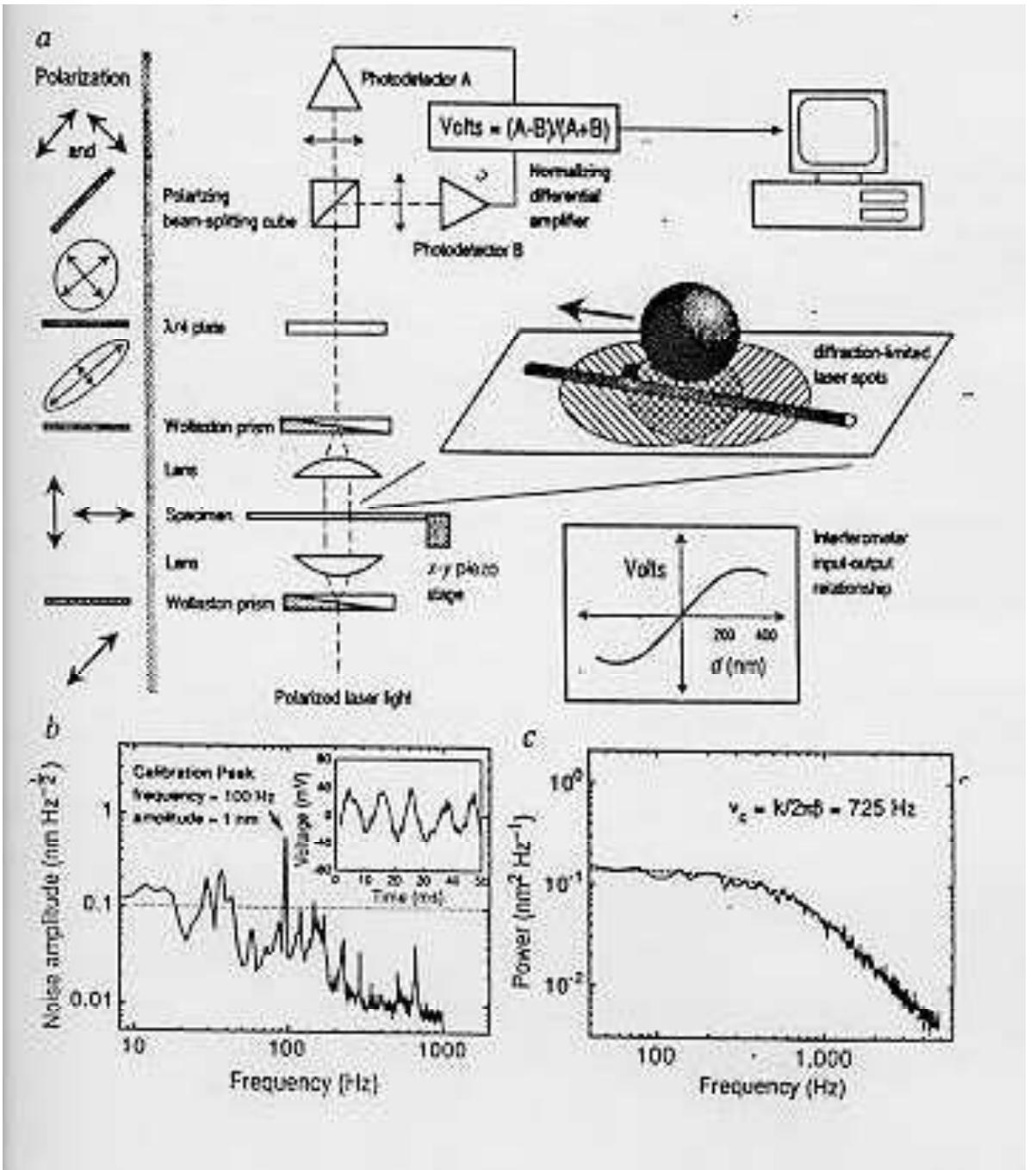 Consider, as a final example, figure 5, which reproduces