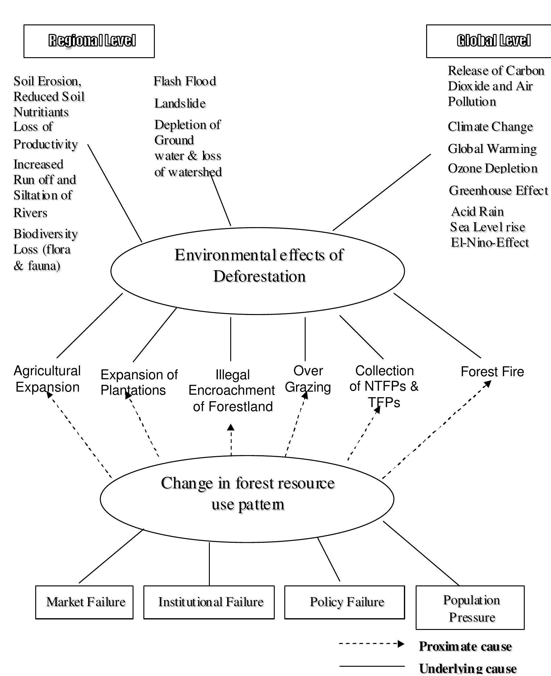 1: the conceptual model of root and proximate causes of