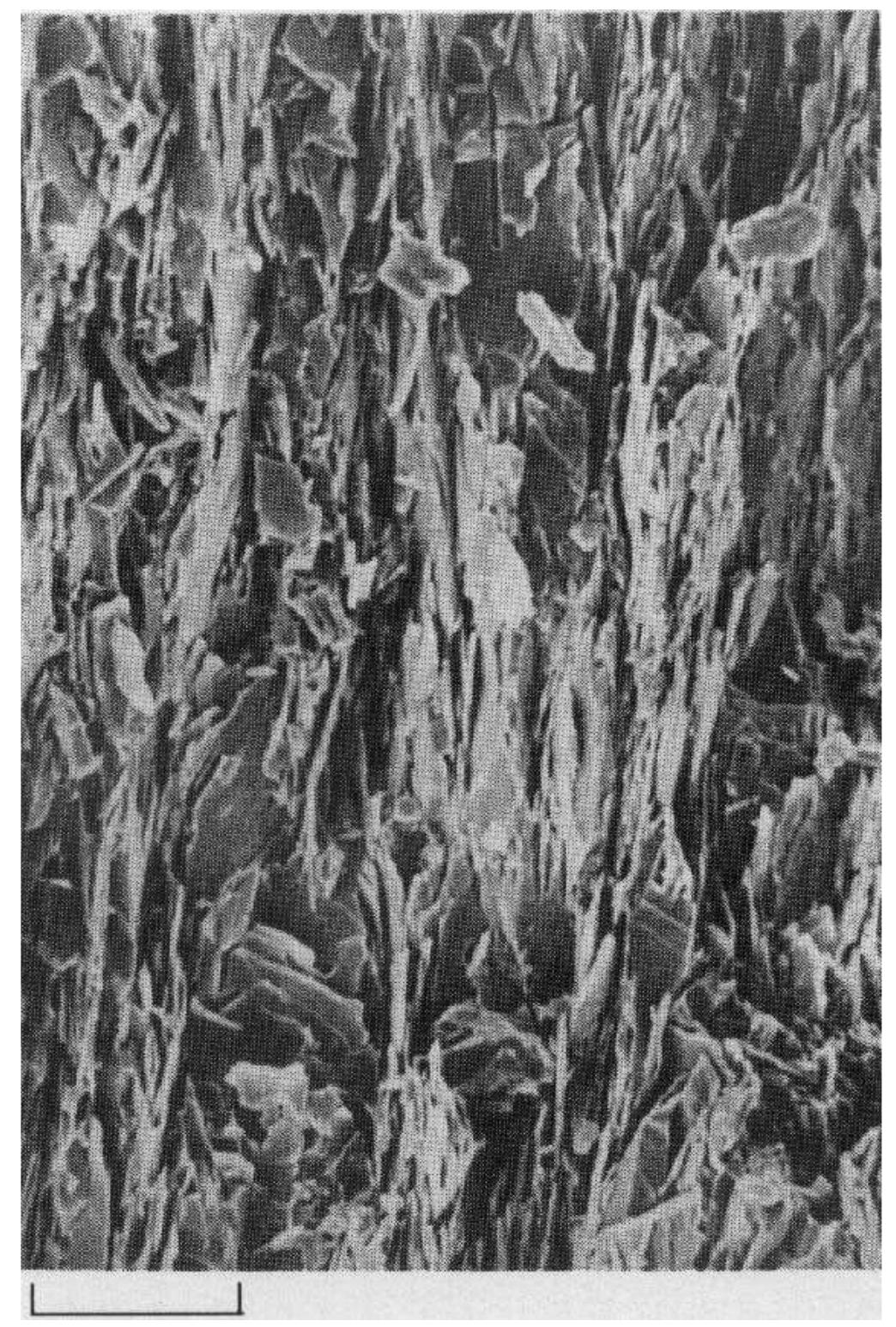 1 a: slaty cleavage. electron microscope image (scale bar is