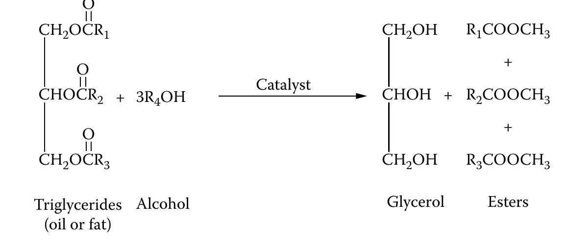1 transesterification of triglycerides to esters. biodiesel