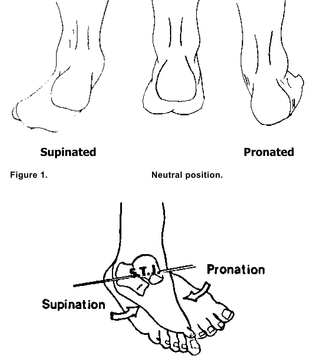 Subtalar joint pronation has two important effects on the