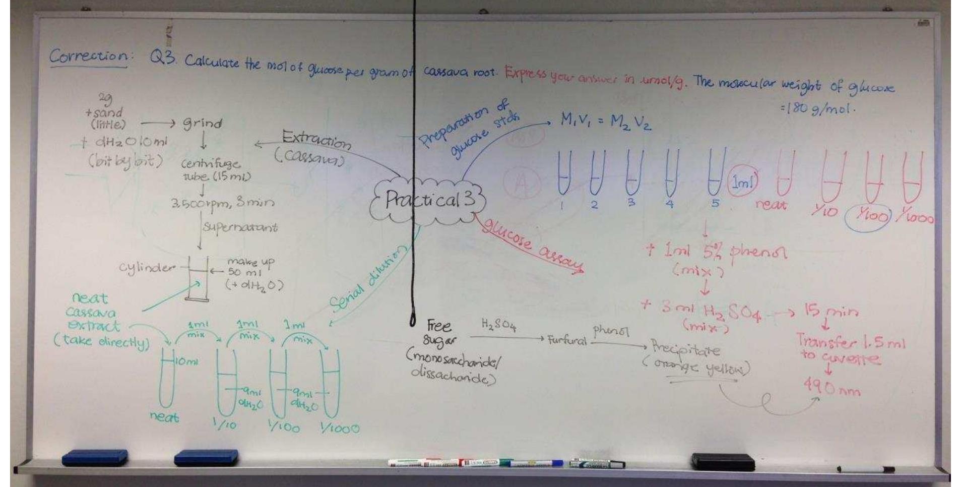 Concept map coupled with flow chart used in laboratory