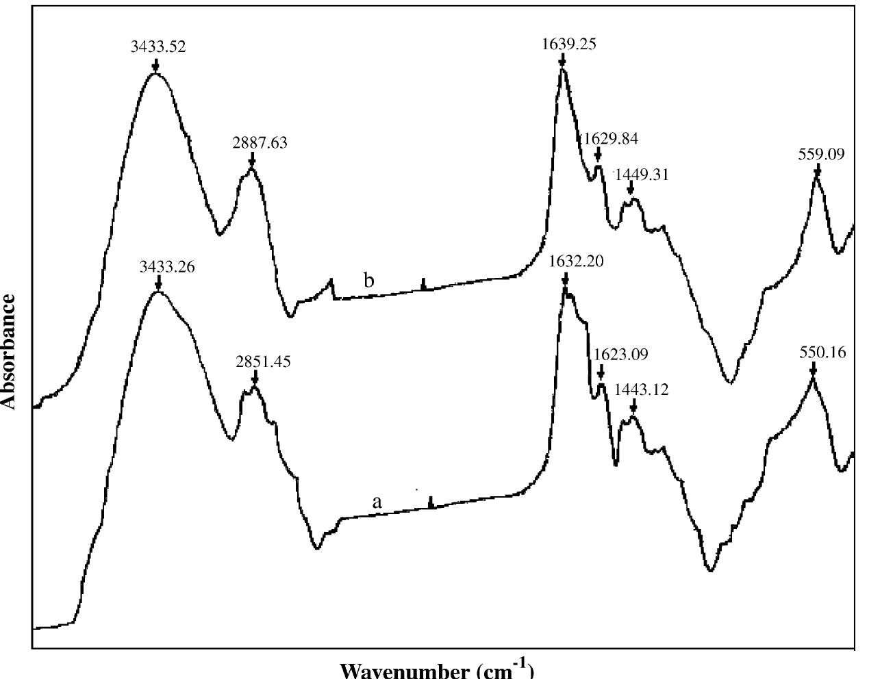 Ftir spectra of c. fistula (pods bark) biomass: (a) before