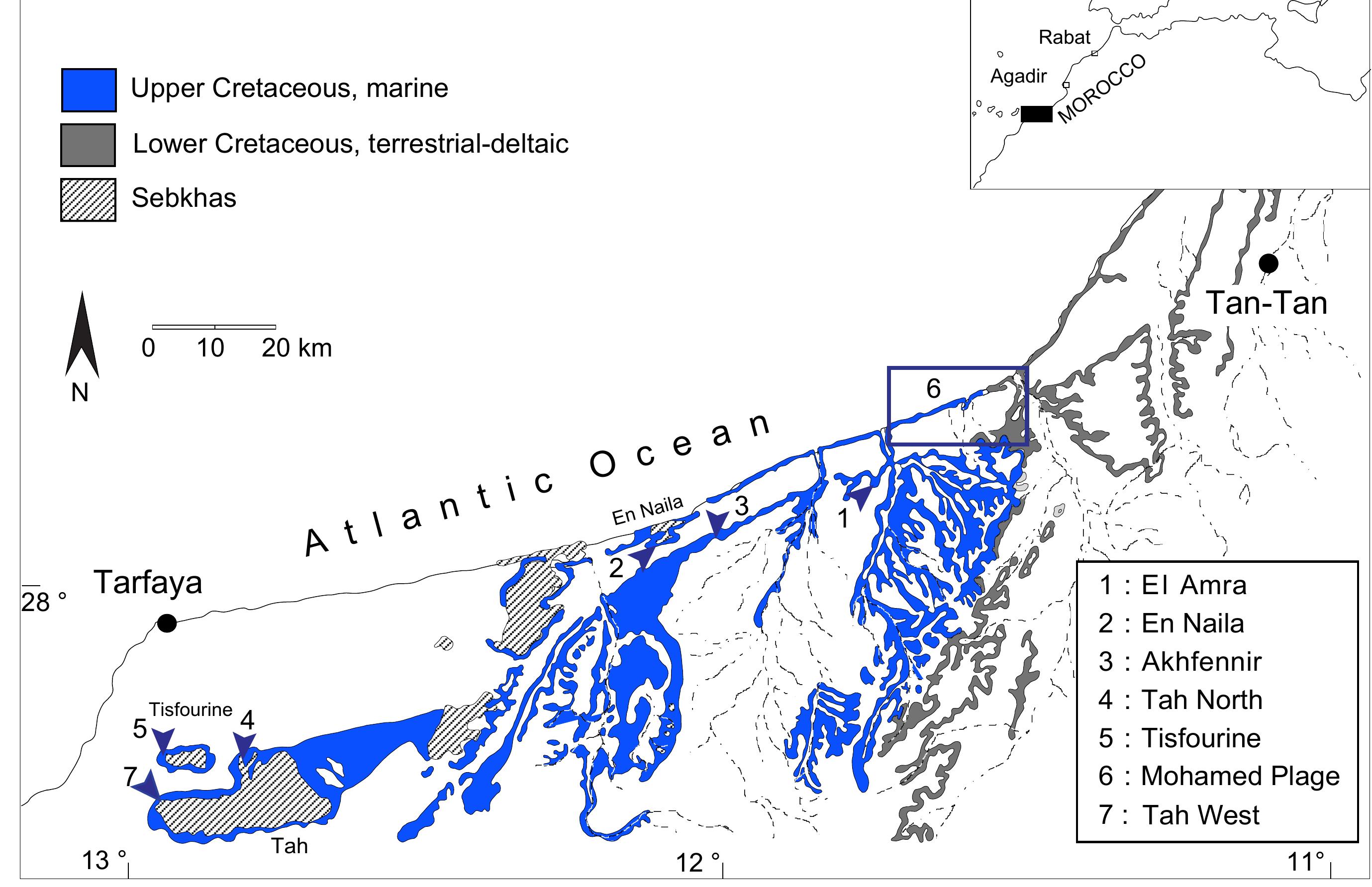 Location of outcrop sections in the tarfaya basin, which