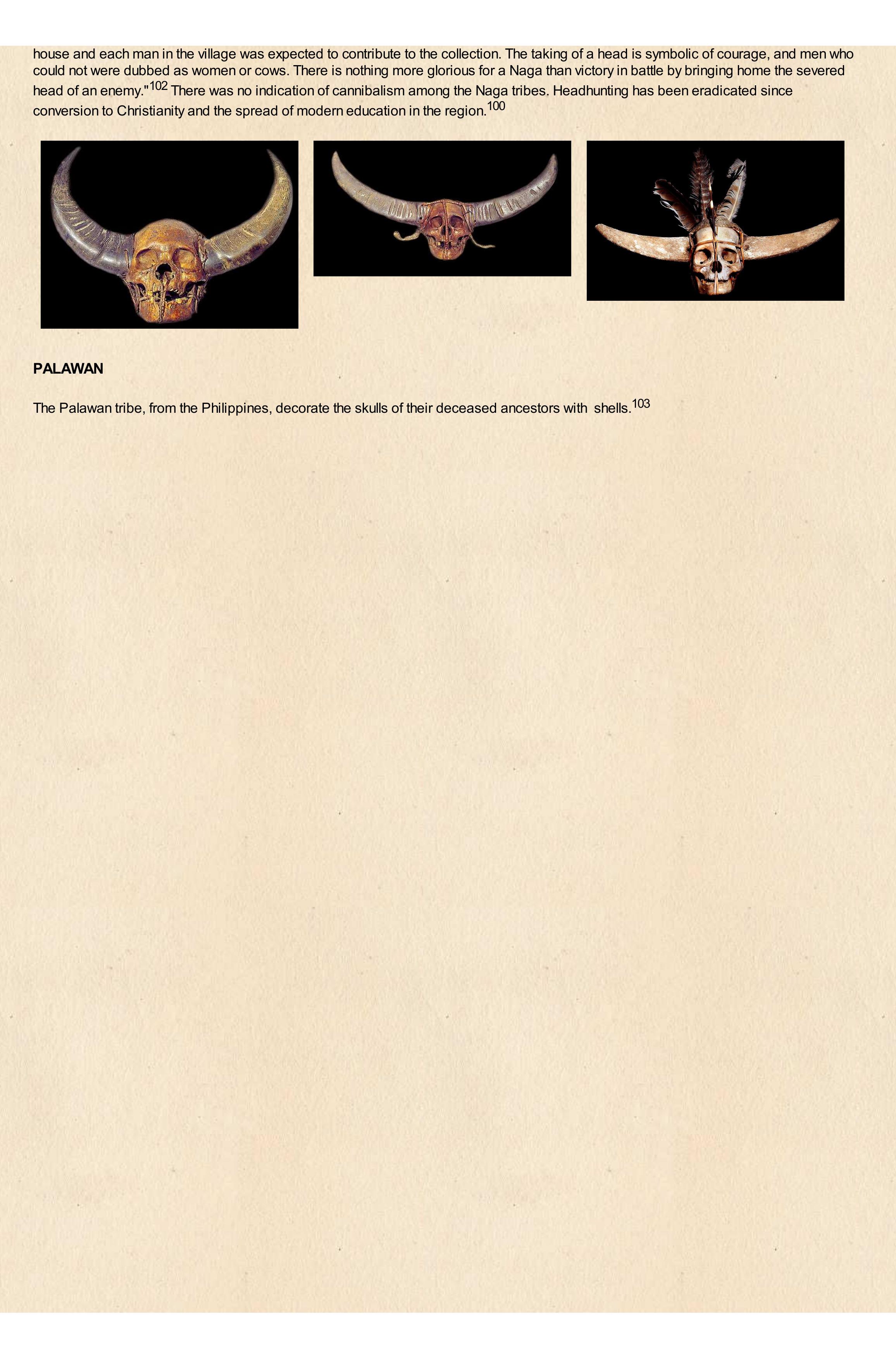 Figure 37 - Tracing the History of the Human Skull in Art