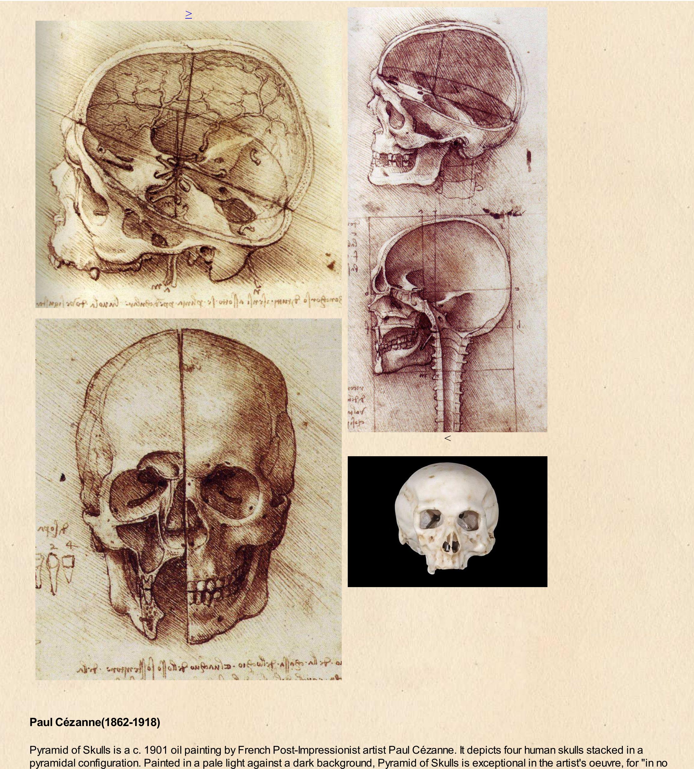 Figure 42 - Tracing the History of the Human Skull in Art