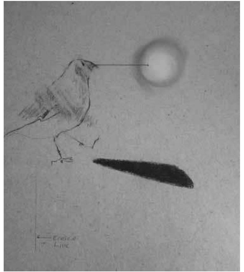 Charcoal on banana paper, by izmer ahmad, 2072, 3.9 x 4.4