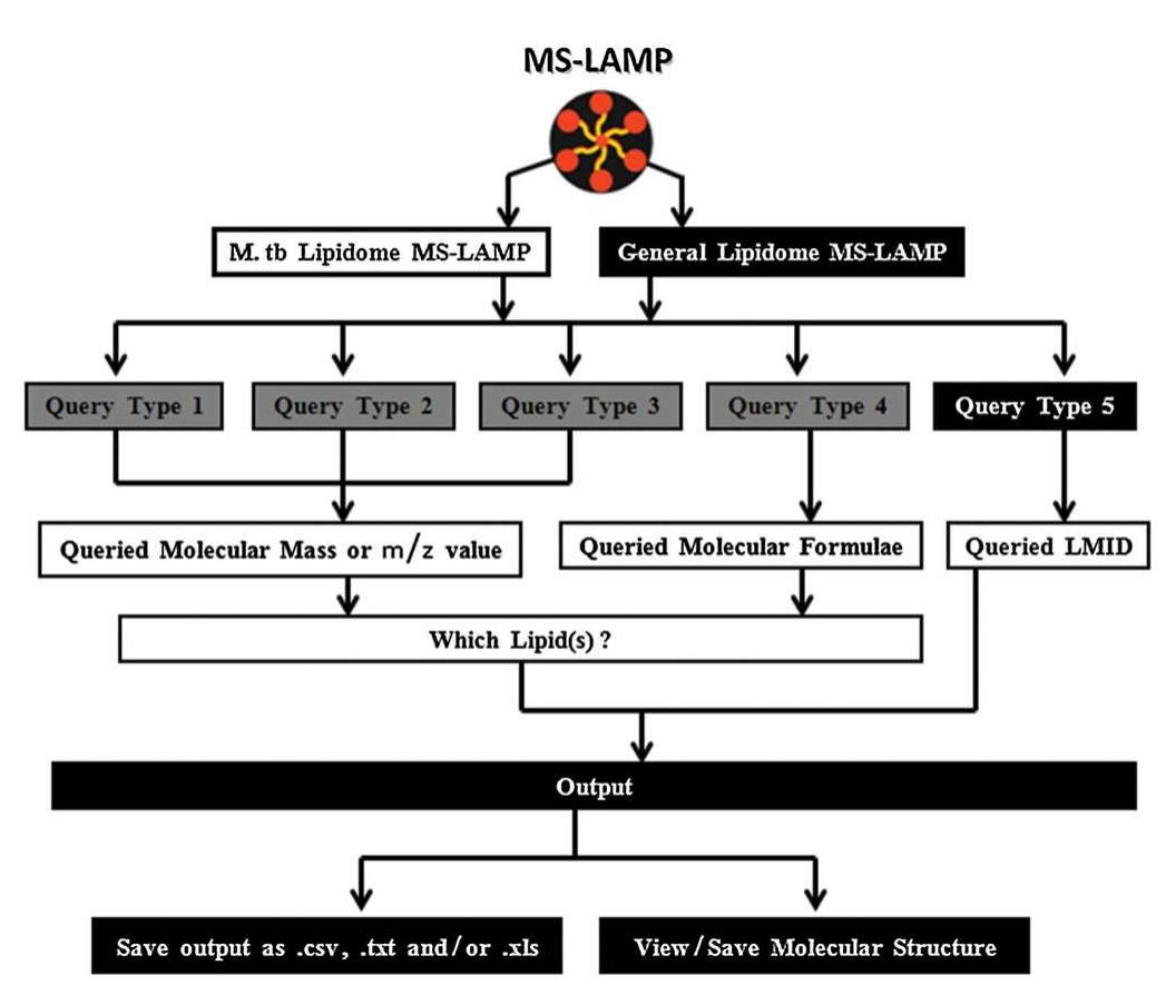 Flowchart providing an overview of functioning of ms-lamp.