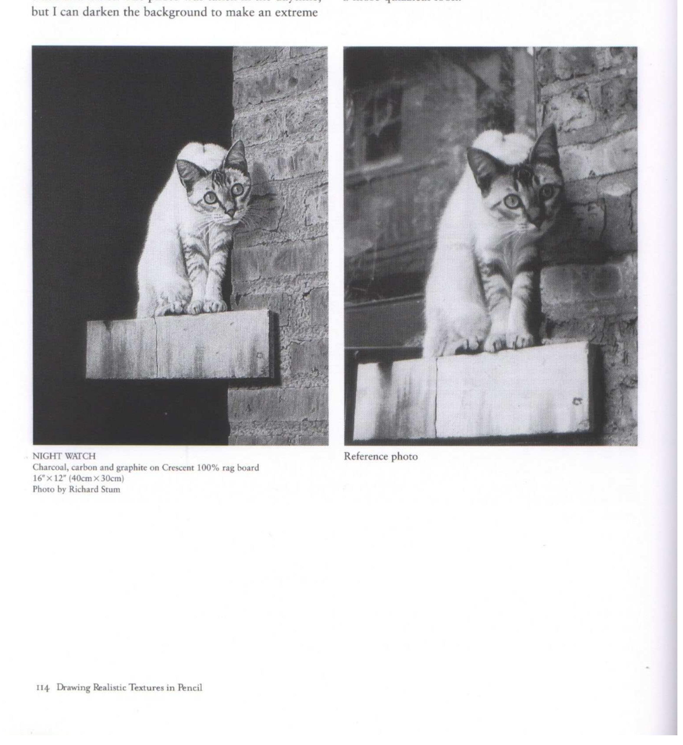 Figure 112 - Drawing Realistic Textures In Pencil