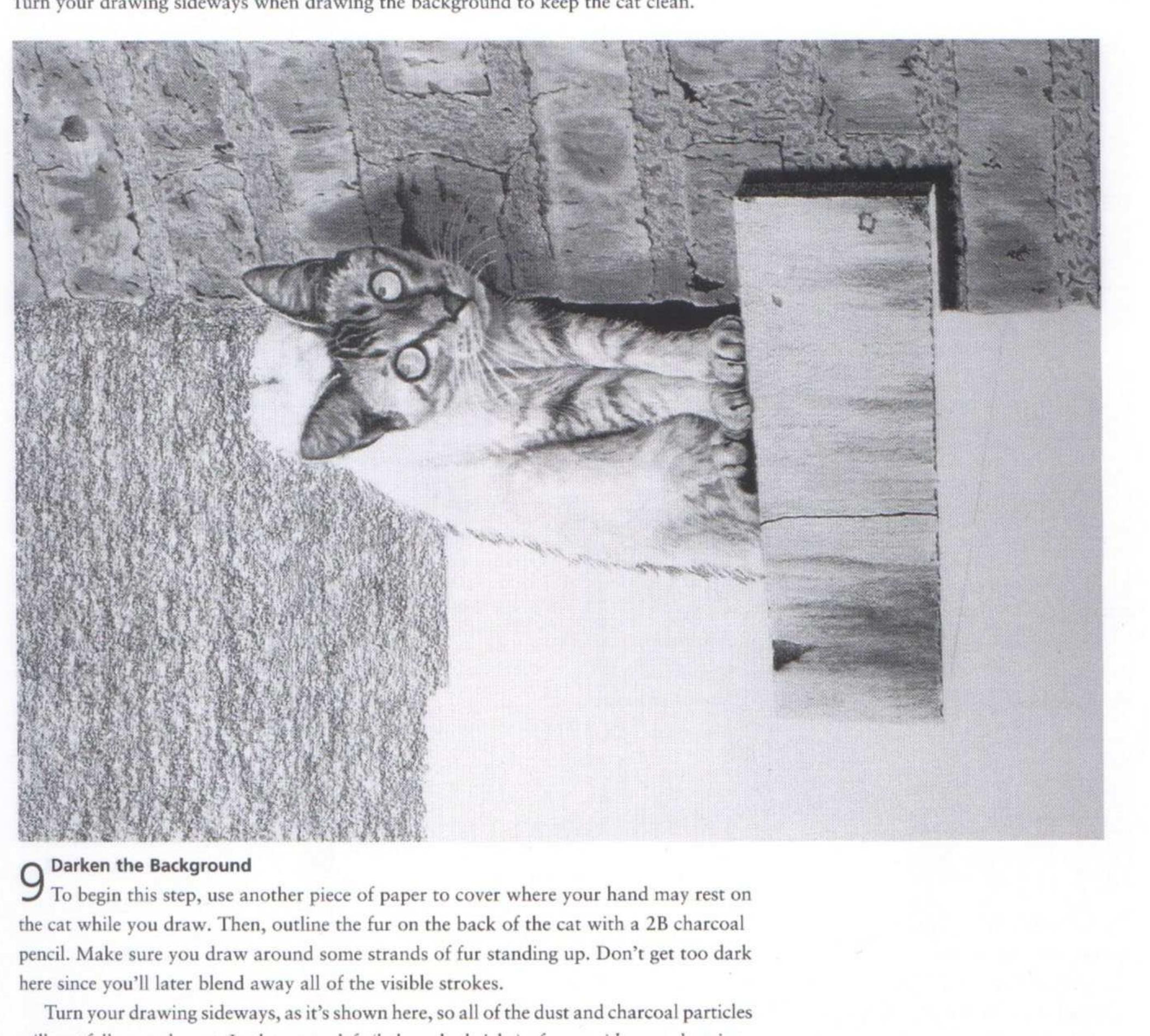 Figure 122 - Drawing Realistic Textures In Pencil