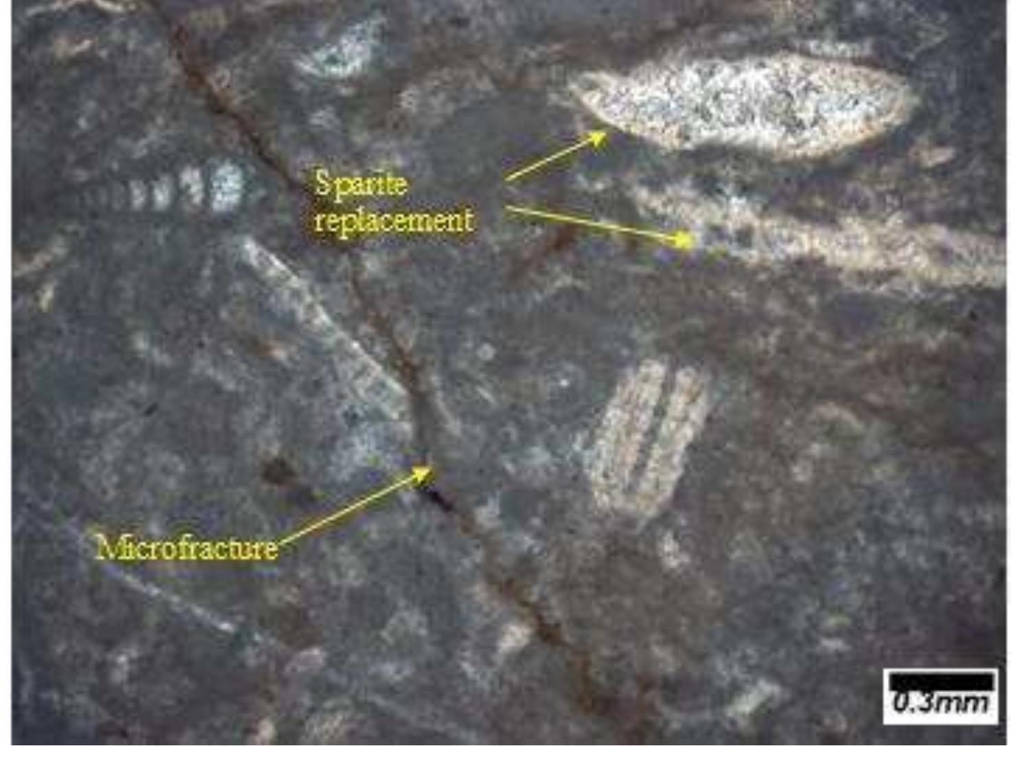 Filled micro-fractures and stylolite (see figure 3.30) are