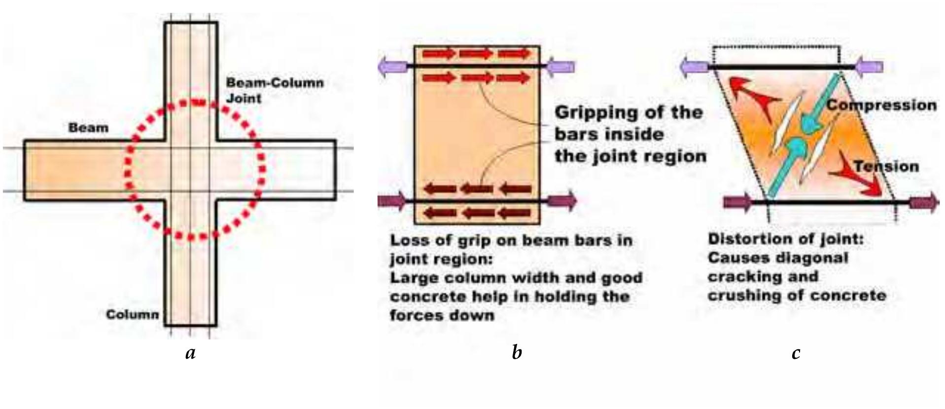 Beam-column joints: (a) intersection of beams and columns